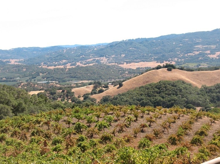 A Look at The Historic Poor Ranch - Vaughn Duffy Wines